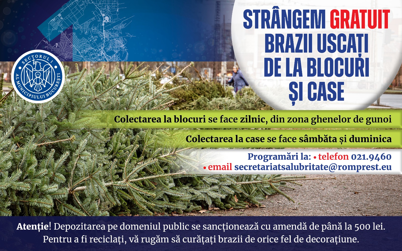 Strângem gratuit brazii de Crăciun de la blocuri și case - Primaria ...